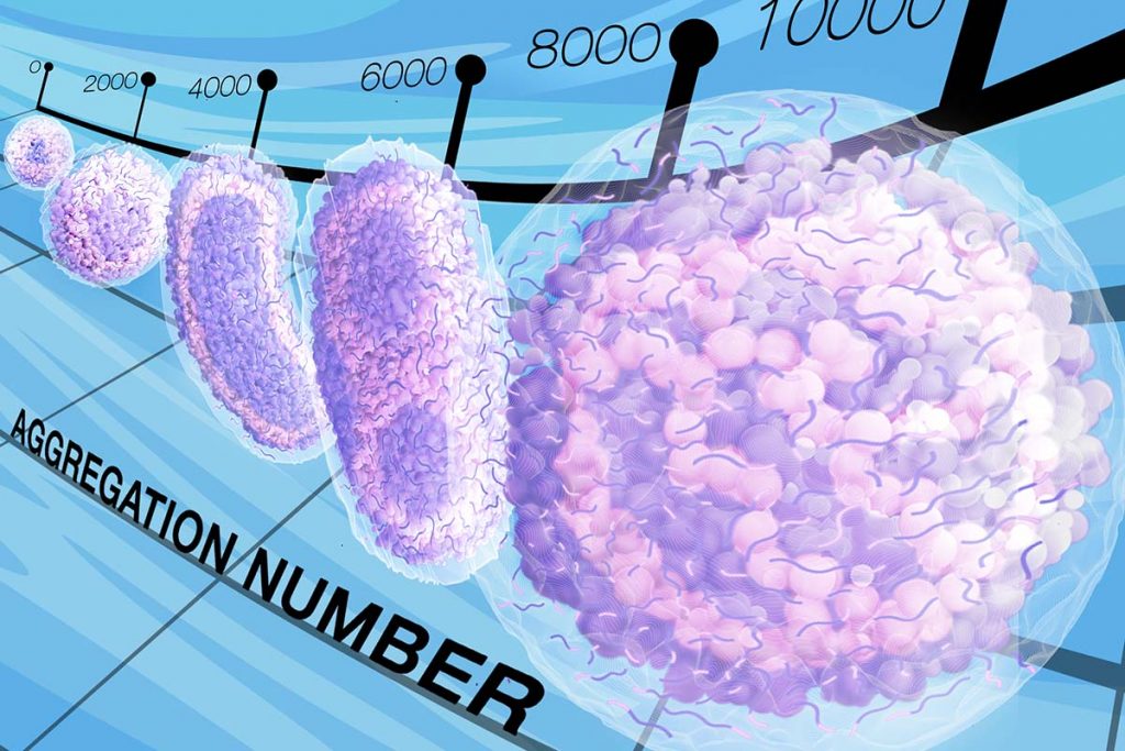 The Formation of Nanoparticles with Complex Morphologies from Block ...
